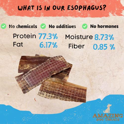 Beef Esophagus Jerky for Dogs (6 Inch ) - Beef Gullet Dog Chews - Beef ...