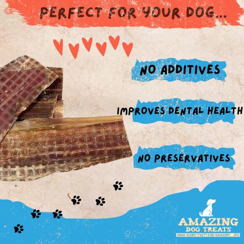 Beef Esophagus Jerky for Dogs (6 Inch ) - Beef Gullet Dog Chews - Beef ...